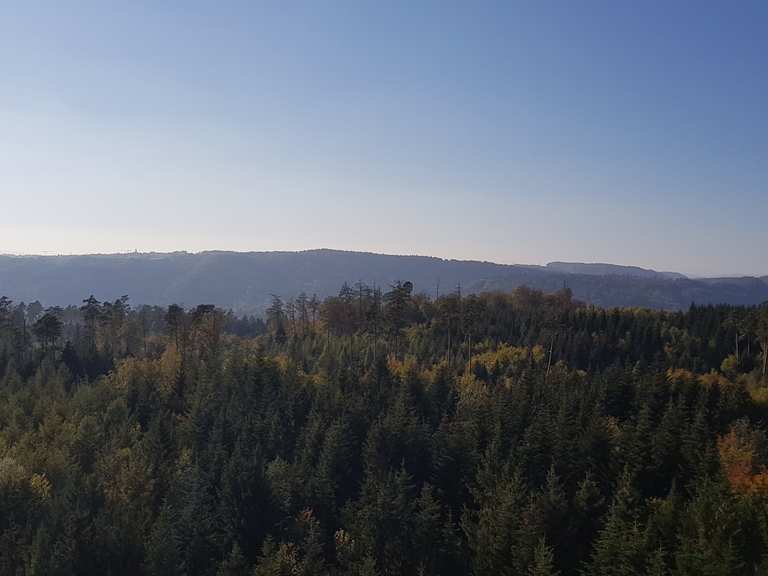 Eschenbergturm: Wanderungen und Rundwege | komoot