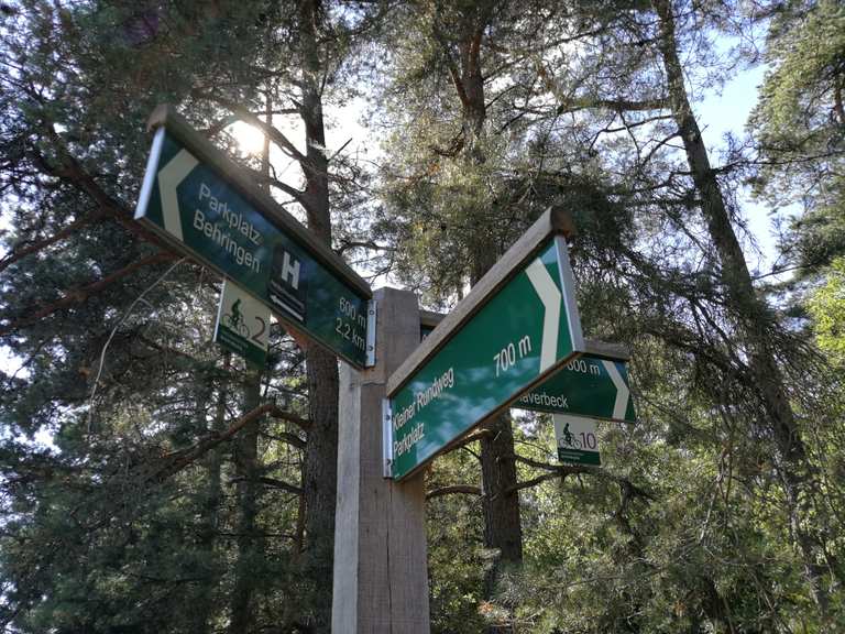 Aussichtspunkt in der Behringer Heide: Wanderungen und Rundwege | komoot