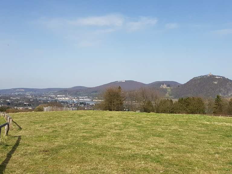 Naturschutzgebiet und Gipfel Rodderberg Routes for Walking and Hiking ...