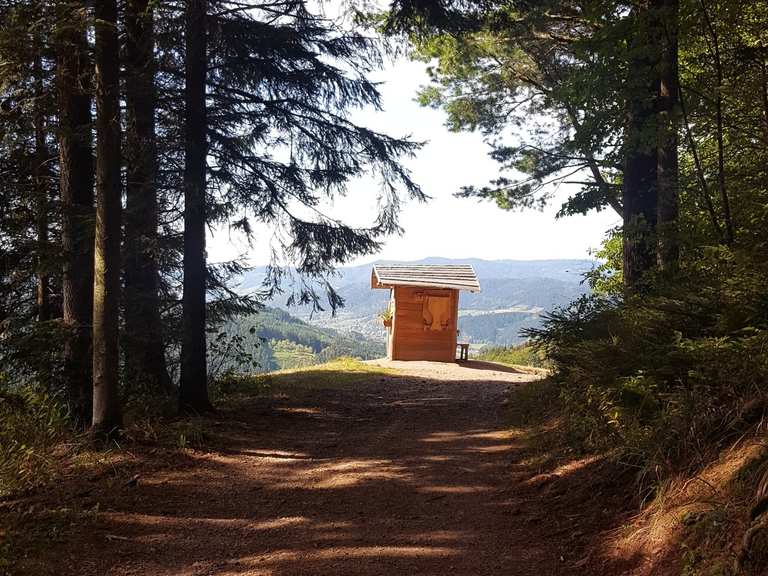 🇩🇪 Schwarzenbach- sattel – Schmusehisli 🏡 Runde von Birach ...