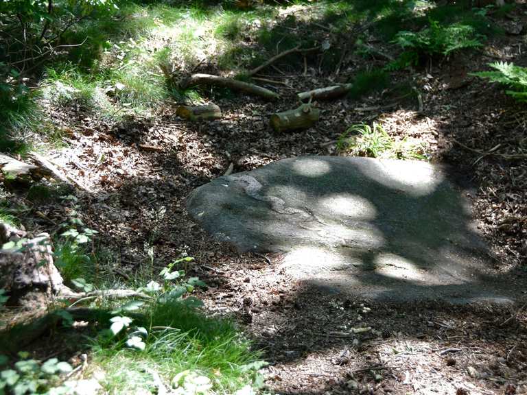 Drachenstein bei Donnern : Radtouren und Radwege | komoot