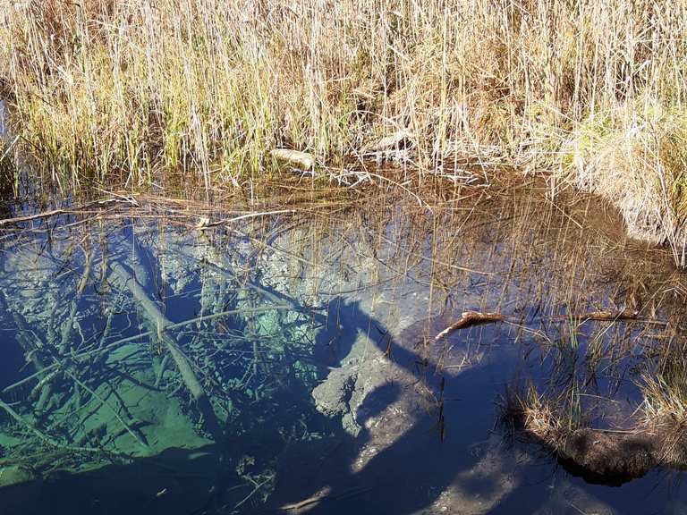 Blaue Gumpe: Wanderungen und Rundwege | komoot