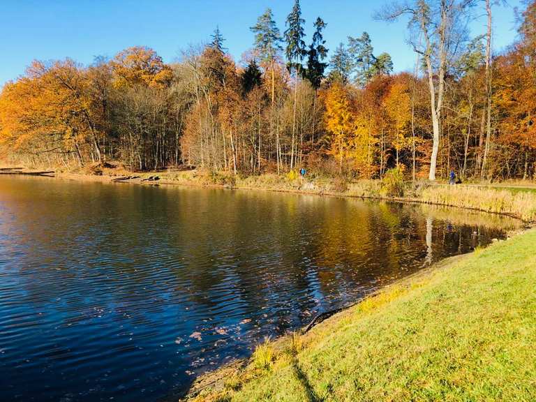Katzenbachsee: Wanderungen und Rundwege | komoot