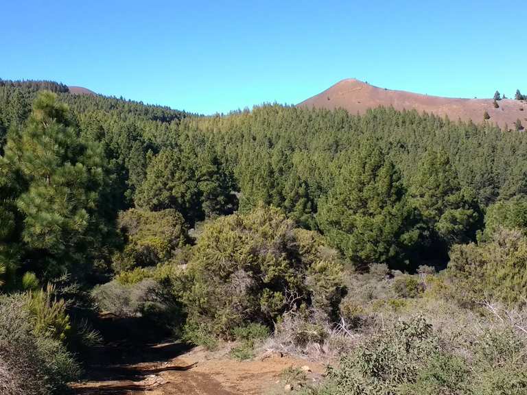 Fayal-Brezal - Routes for Walking and Hiking | Komoot