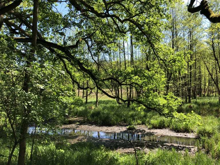 NSG Treplin - Alt Zeschdorfer Fliestal: Wanderungen und Rundwege | komoot