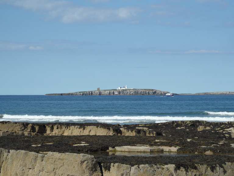 Bamburgh Castle to Beadnell loop — Northumberland Coast | hike | Komoot