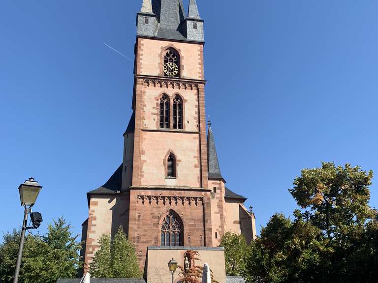 Kiedrich: Wanderungen und Rundwege | komoot