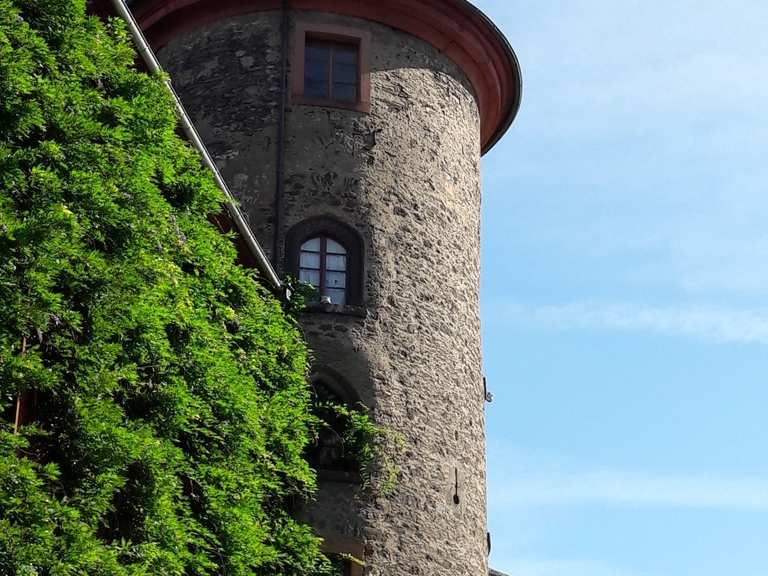 Schloss Laubach: Wanderungen und Rundwege | komoot
