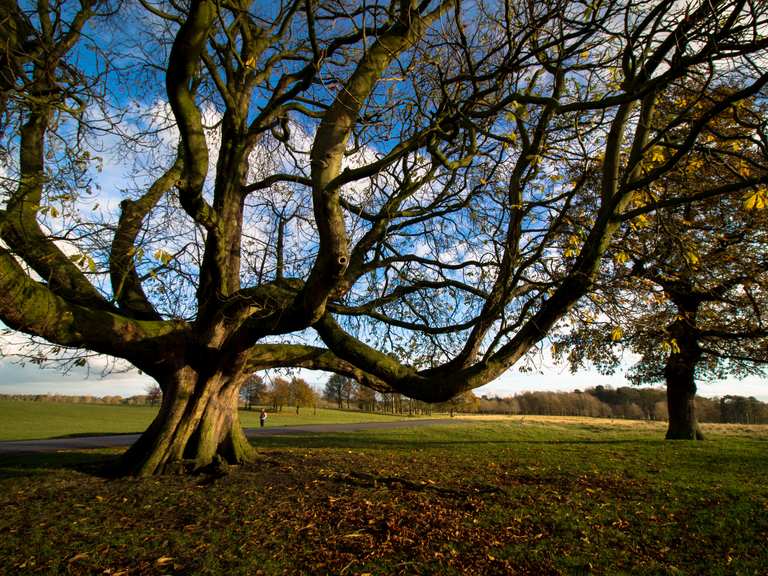 Stage 3: Comberbach to Prestbury – Cheshire Cycleway | ride | Komoot