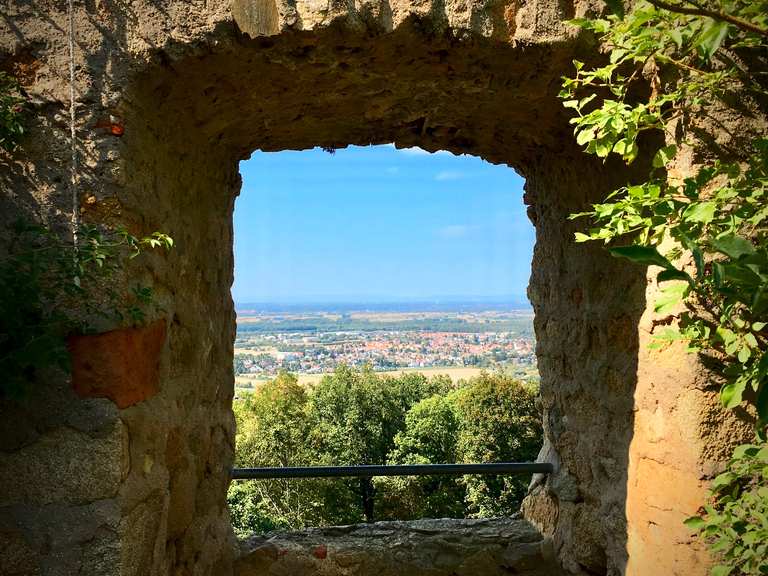 Alsbacher Schloss mit Schlossturm Routes for Walking and Hiking | Komoot