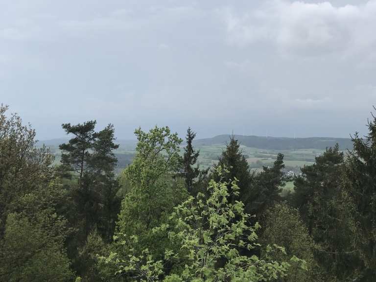 Patersberg-Turm „Schau dich um“ - Mountain Bike Trails & Tracks | Komoot