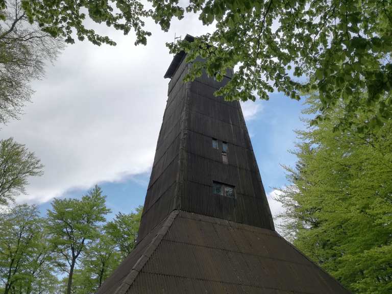 Ireneturm auf der Tromm – Trommer Turm Loop from Rimbach | Mountainbike ...