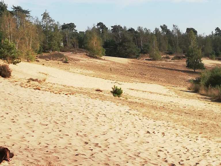Zandvlaktes van het Reindersmeer wandelroutes en hikes | Komoot