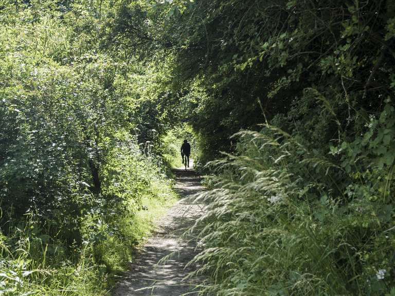 Linby bike trail — pristine gravel Cycle Routes and Map | Komoot