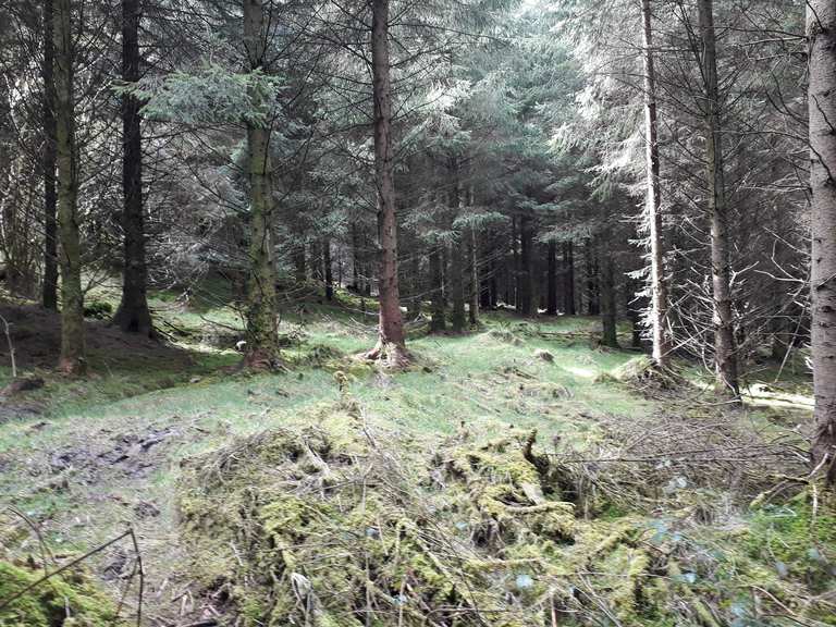 Views across Slieve Bloom Mountain Range Routes for Walking and Hiking ...