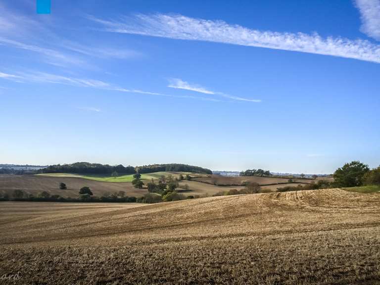 Haselbech Hill lookout - Mountain Bike Trails & Tracks | Komoot