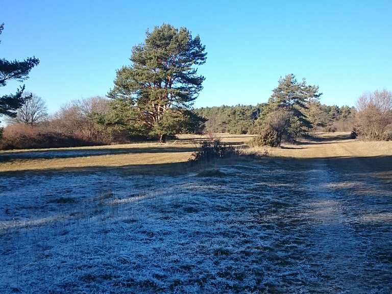 Venusberg: Wanderungen und Rundwege | komoot