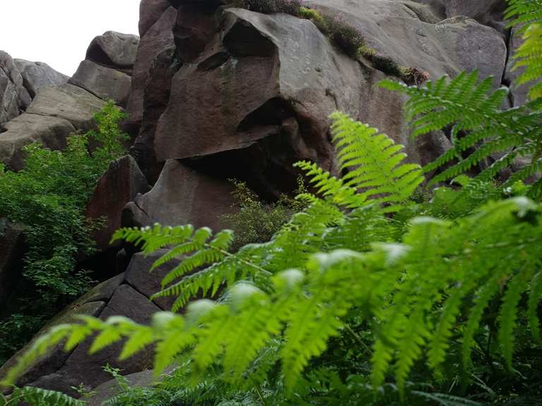 Black Rocks Routes for Walking and Hiking | Komoot