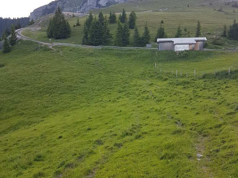Schafbergalm – Station der Bergbahn: Wanderungen und Rundwege | komoot