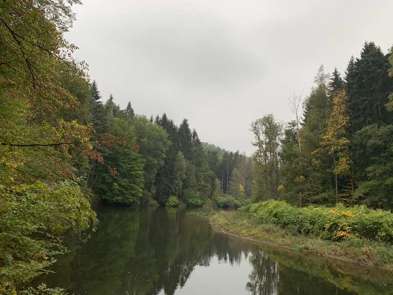 Flussschleife der Zwickauer Mulde: Wanderungen und Rundwege | komoot