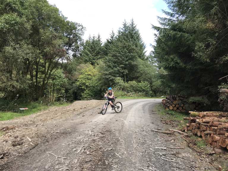 Brechfa Forest trail centre - Mountain Bike Trails & Tracks | Komoot