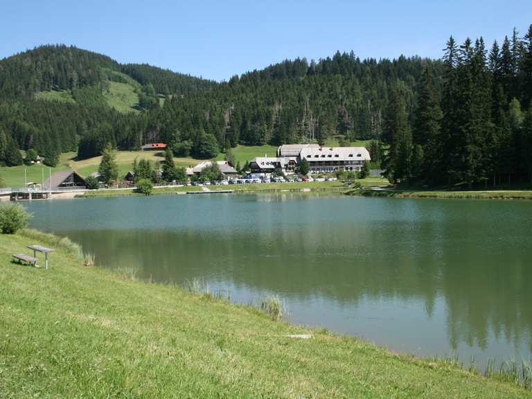 Teichalmsee: Wanderungen und Rundwege | komoot