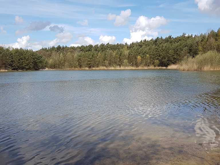 Meer Natuurgebied Rode Beek-Heringsbosch wandelroutes en hikes | Komoot