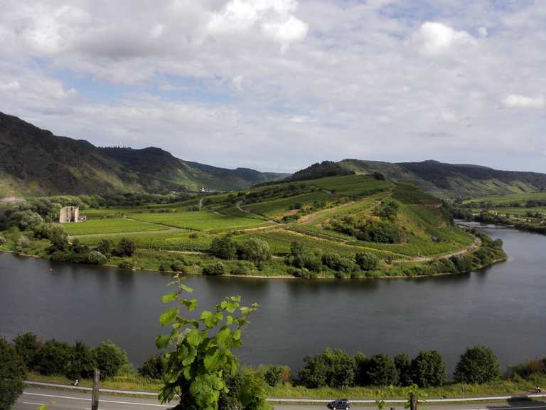 Bremmer Calmont - steilstes Weinanbaugebiet Europas : Rutas de ...