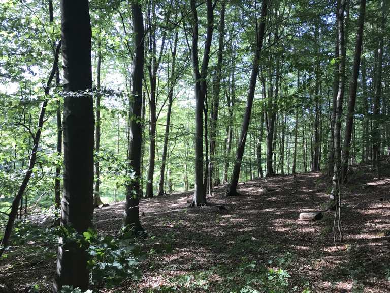 Roikier See Routes for Walking and Hiking | Komoot