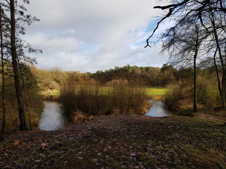 Lutterzand: Wanderungen und Rundwege | komoot