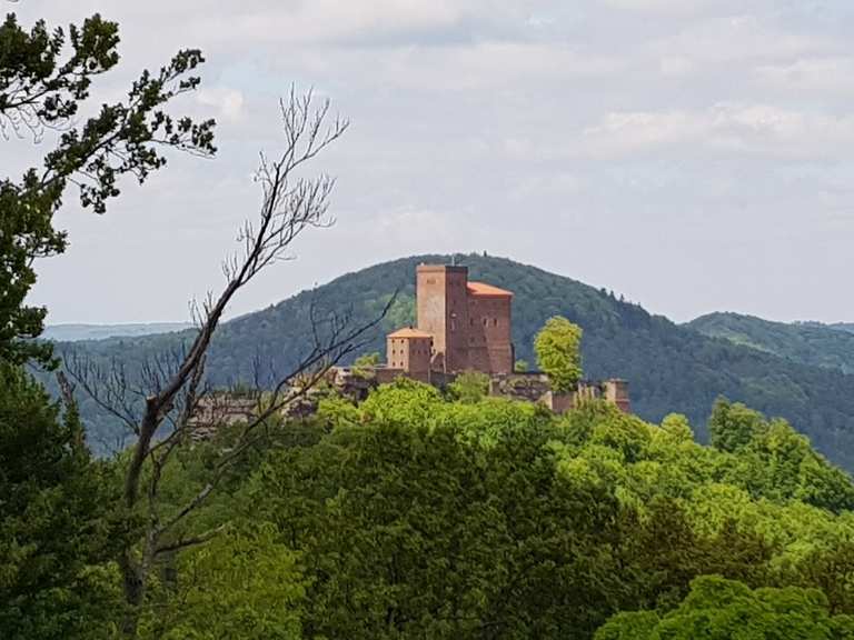 Burg Scharfenberg (Münz) Routes for Walking and Hiking | Komoot