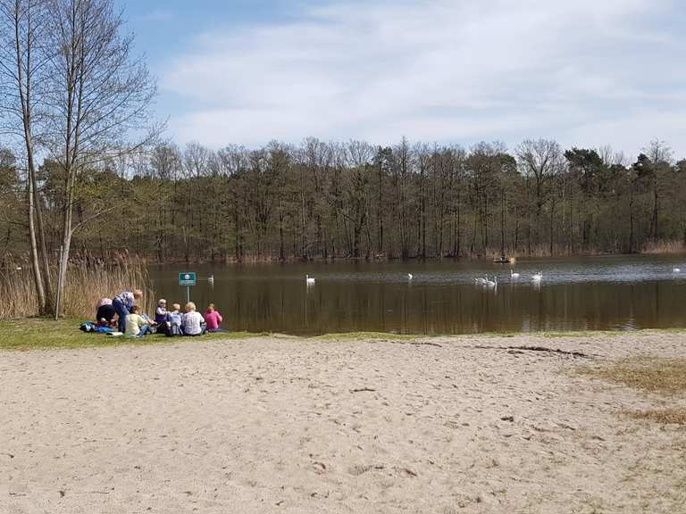 Krummer See: Wanderungen und Rundwege | komoot