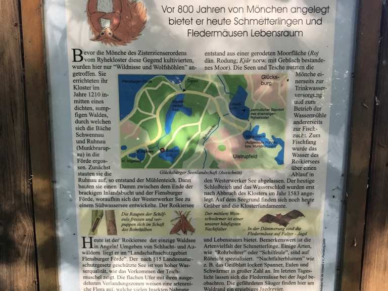 Roikier See Routes for Walking and Hiking | Komoot