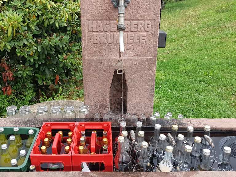 Schnapsbrunnen Routes for Walking and Hiking | Komoot