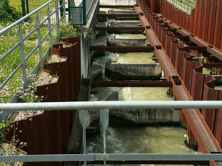 Fischtreppe Gambsheim : Radtouren und Radwege | komoot