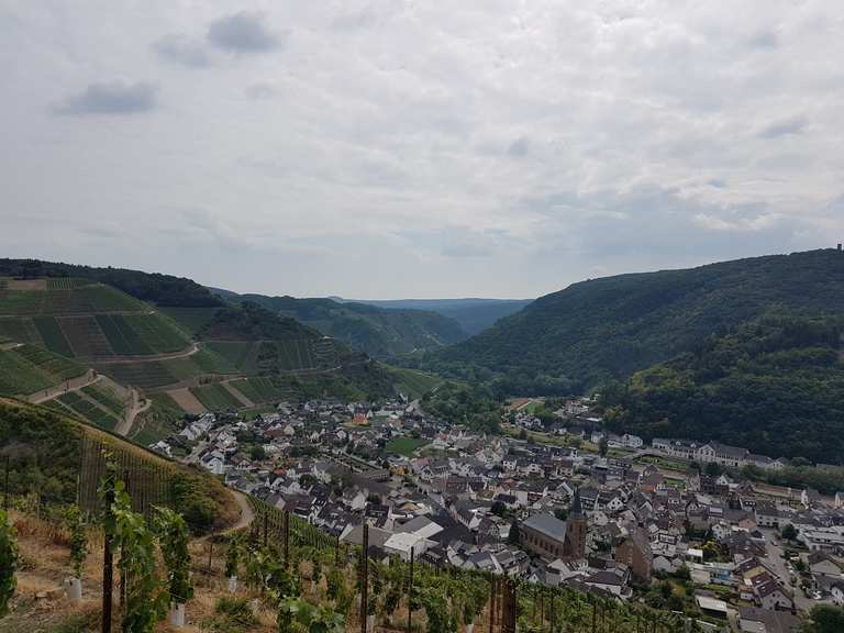 Dernau Ausblick: Rennradfahren und Rennradtouren | komoot