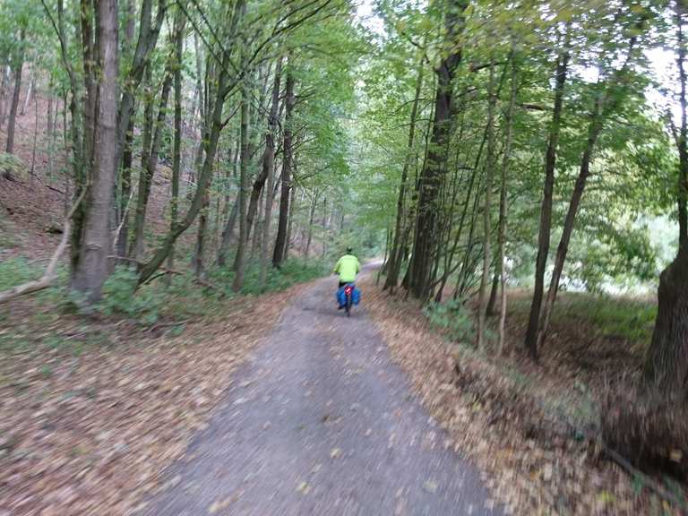 Traumhafter Abschnitt der Freiberger Mulde: Radtouren und Radwege | komoot