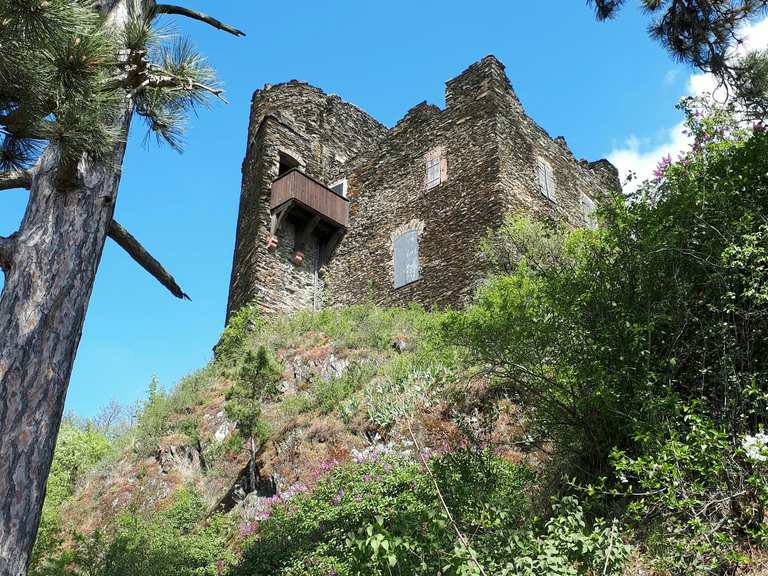 Ruine Nollig: Wanderungen und Rundwege | komoot