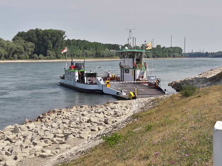 Rheinfähre Neuburg-Neuburgweier: Radtouren und Radwege | komoot