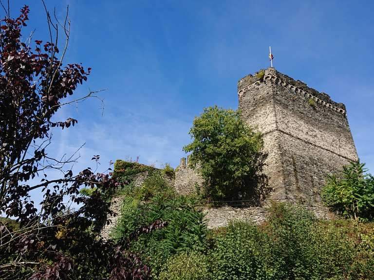 Burgruine Altwied: Wanderungen und Rundwege | komoot
