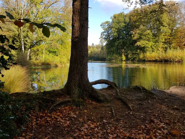 De Bronnen in het Springendal wandelroutes en hikes | Komoot