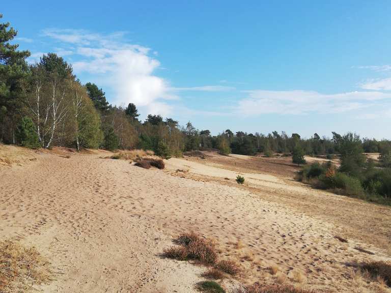 Maasduinen Reindersmeer wandelroutes en hikes | Komoot