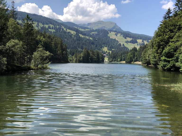 Chapfensee - Mountain Bike Trails & Tracks | Komoot