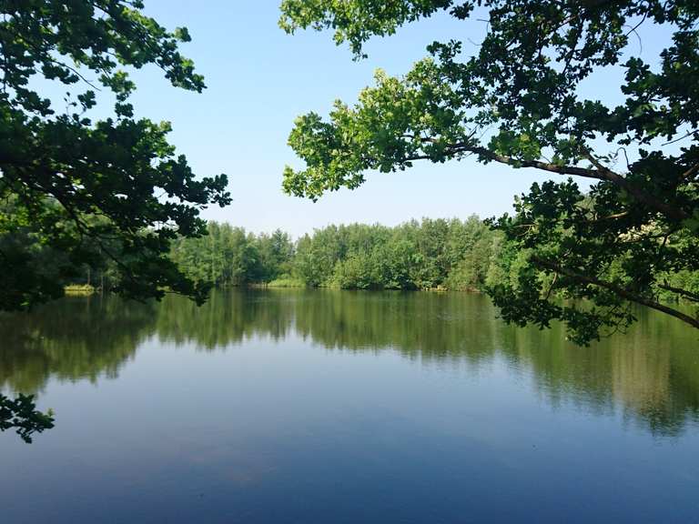 Eichenteich Routes for Walking and Hiking | Komoot