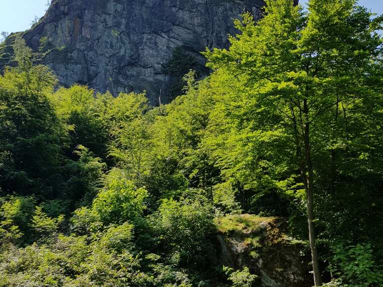 Bornstein: Wanderungen und Rundwege | komoot