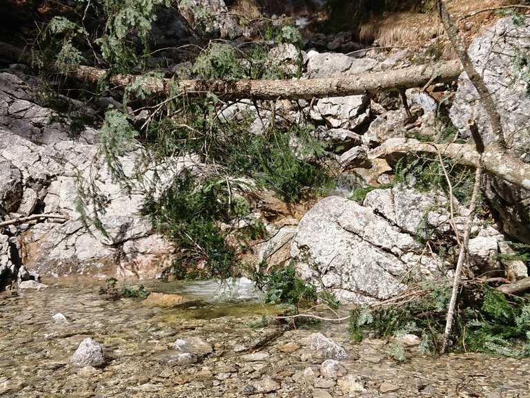 Kotbach-Wasserfall: Wanderungen und Rundwege | komoot