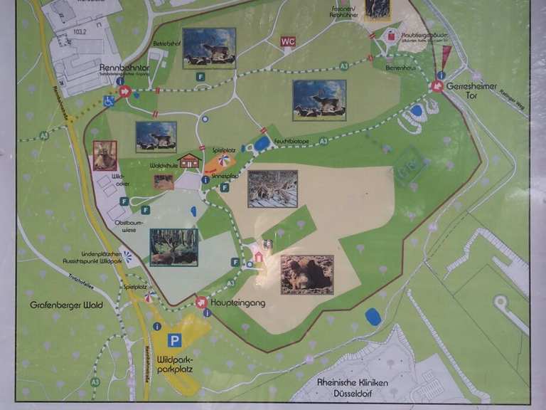 Wildpark: Wanderungen und Rundwege | komoot