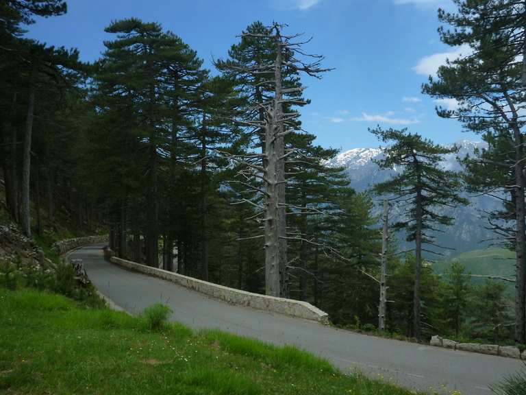 Col de Sorba - Itinéraires vélo et carte | Komoot