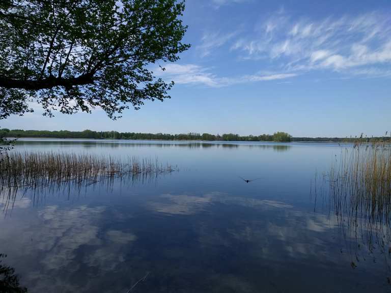 Wandlitzsee : percorsi escursionistici e trekking | Komoot