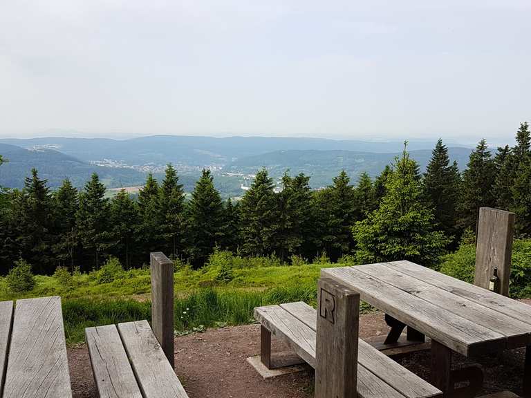 Großer Beerberg: Mountainbike-Touren und -Trails | komoot